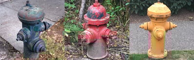 Is There Meaning Behind the Color of a Fire Hydrant? | WSRB Blog