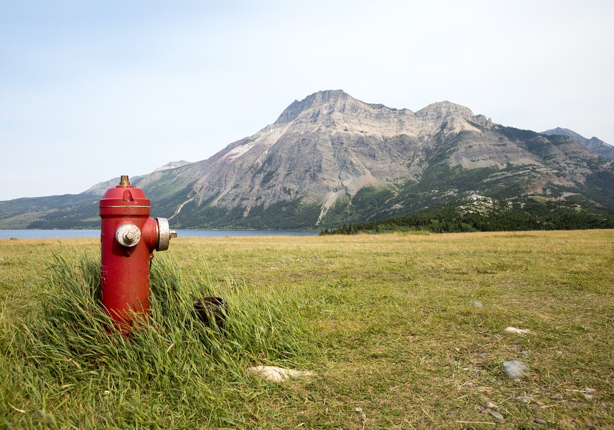 Weird and Wonderful Fire Hydrants of the World