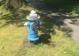 Is There Meaning Behind the Color of a Fire Hydrant? | WSRB Blog