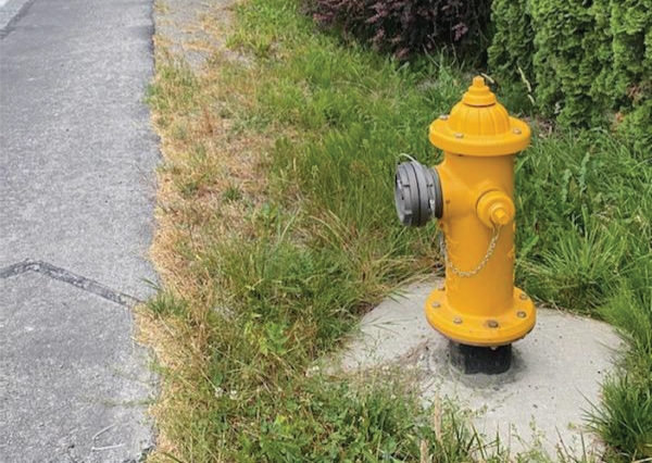 Is There Meaning Behind the Color of a Fire Hydrant? | WSRB Blog