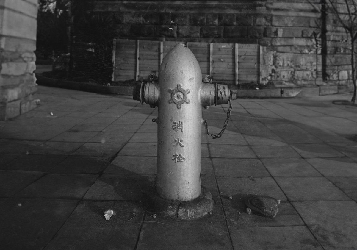 Weird and Wonderful Fire Hydrants of the World