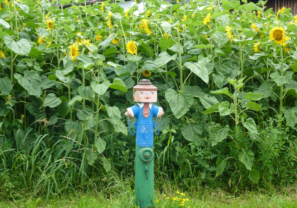 Weird and Wonderful Fire Hydrants of the World